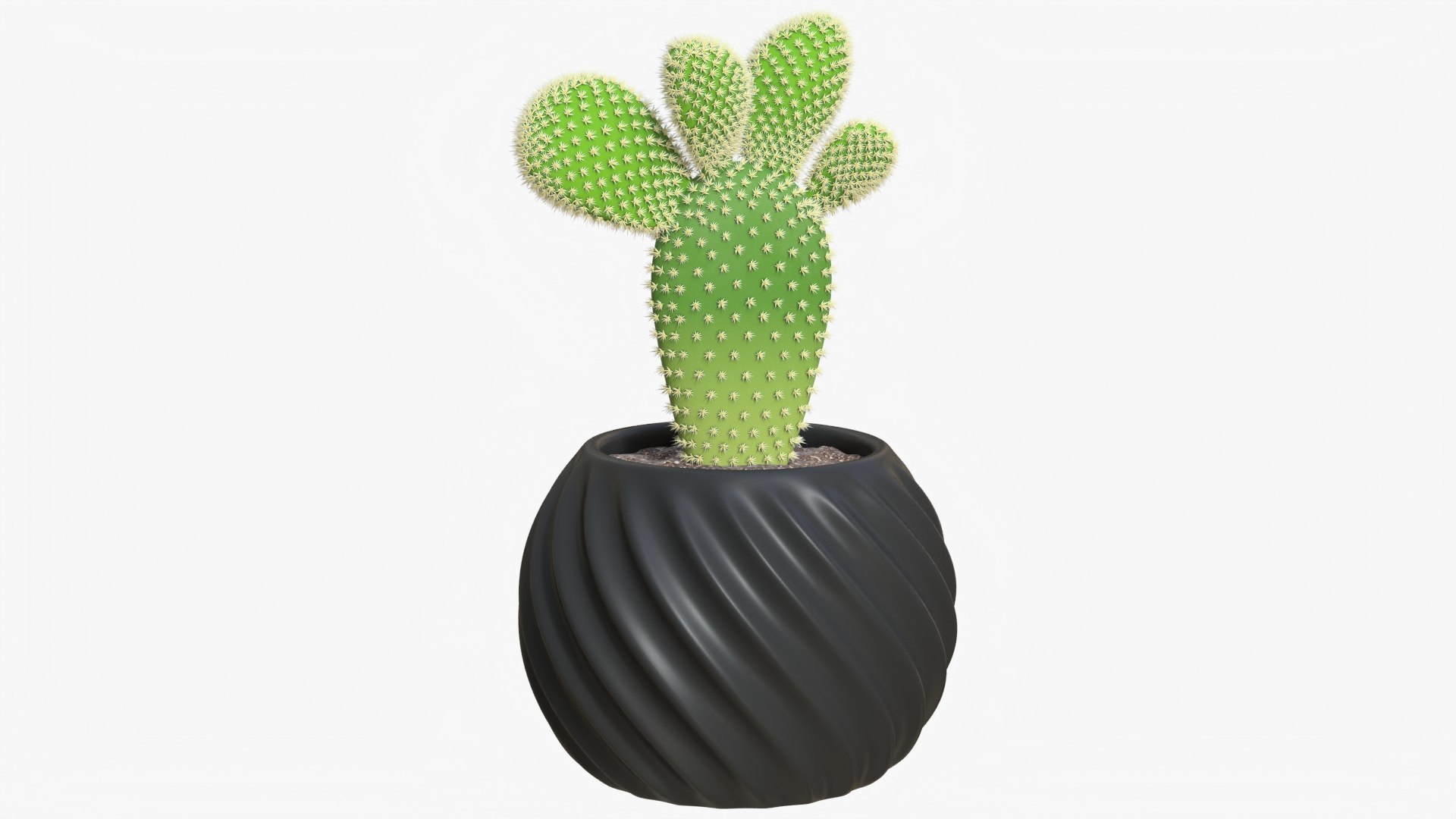 3D Cactus 03 D Model - TurboSquid 1987430