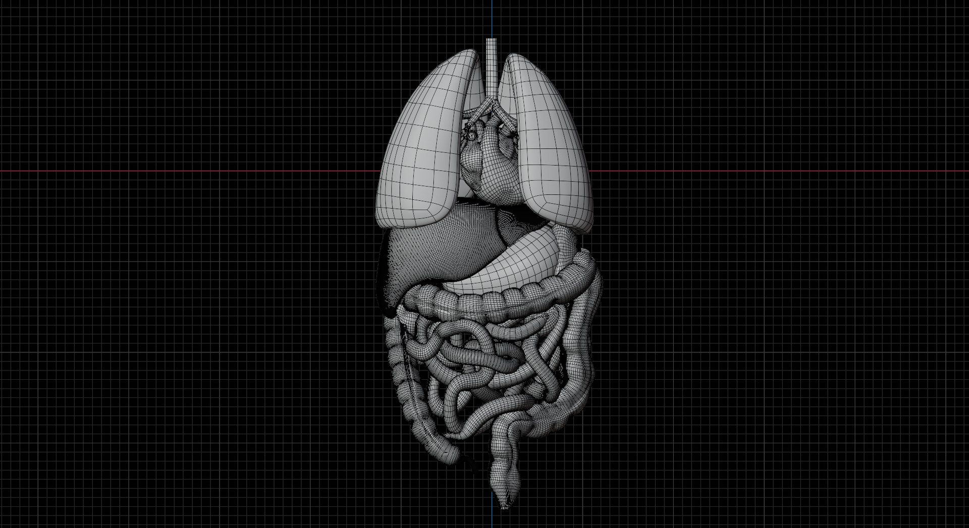 Human Organs Model - TurboSquid 2331875