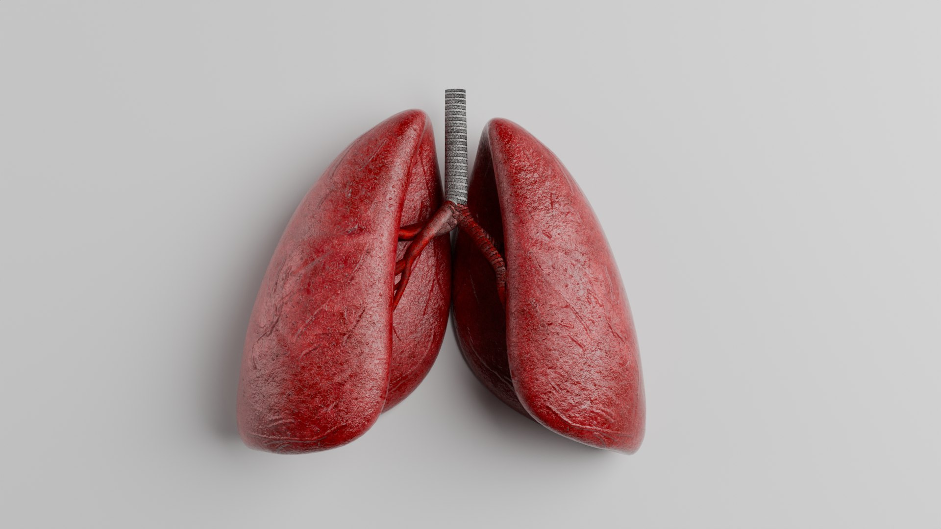 Human Organs Model - TurboSquid 2331875