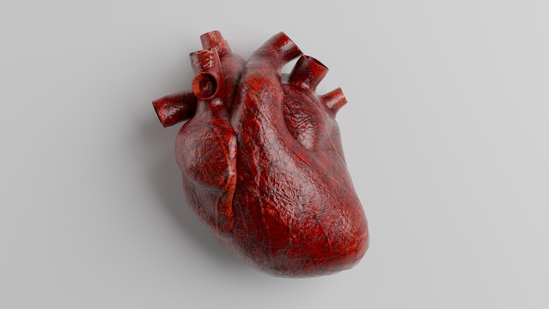 Human Organs Model - TurboSquid 2331875