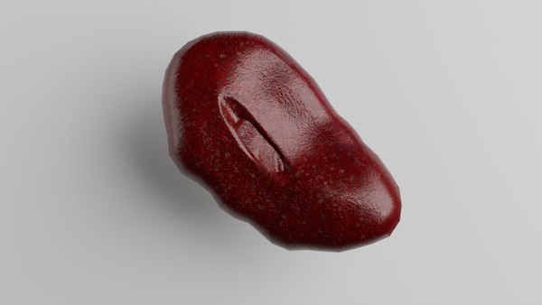 modelo 3d Órganos humanos - TurboSquid 2331875