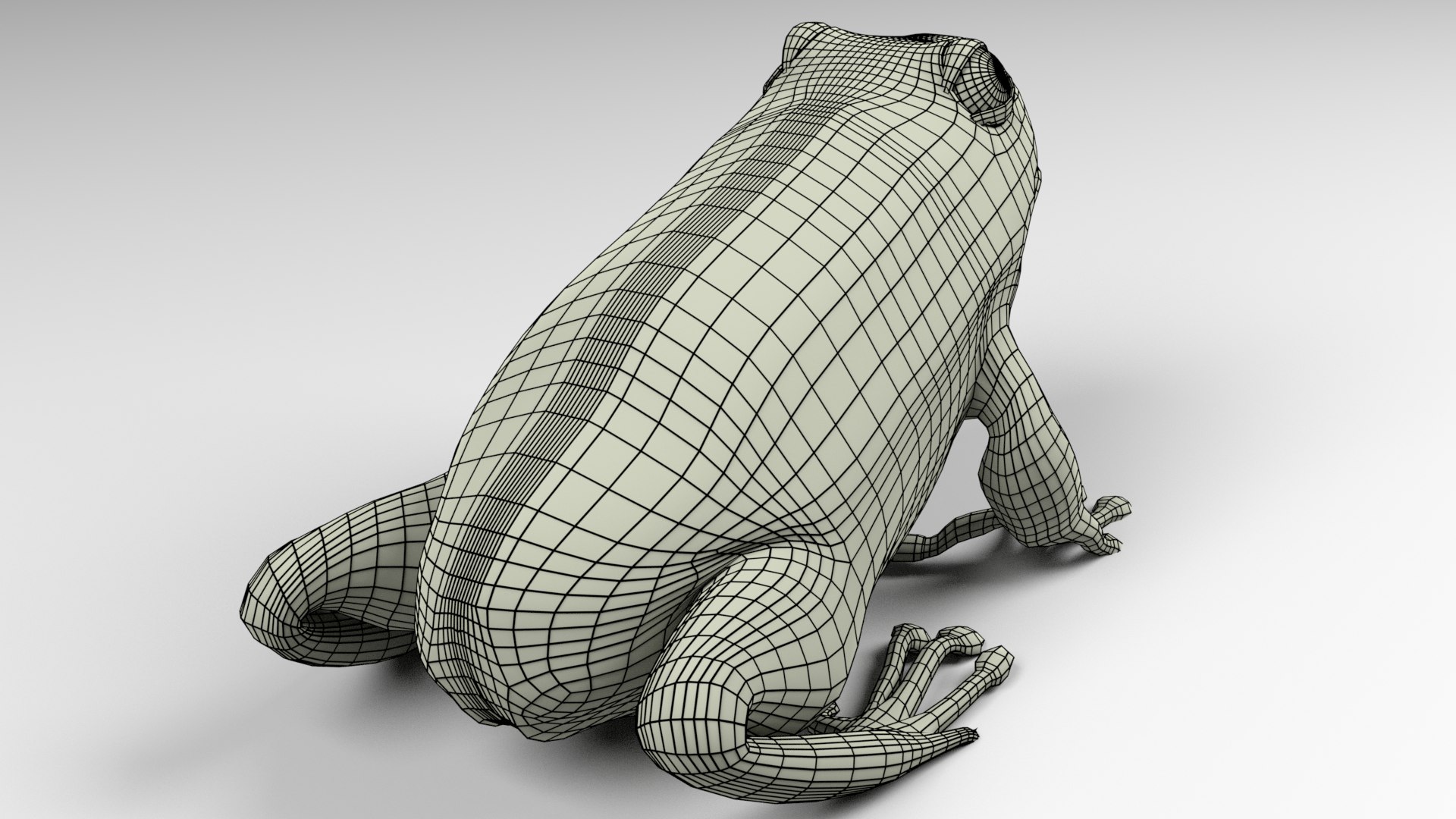 3D Frog Model - TurboSquid 1798583