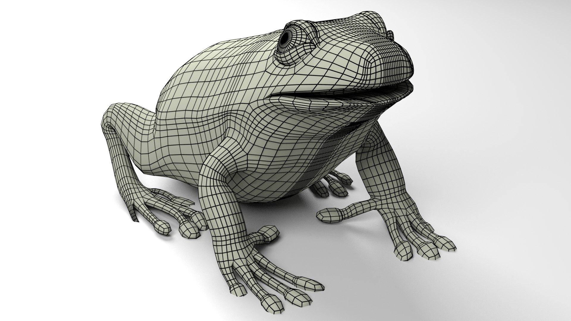 3D Frog Model - TurboSquid 1798583