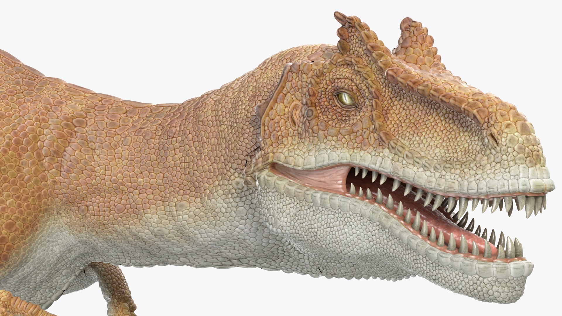 Allosaurus Yellow Coloring Rigged for Cinema 4D 3D - TurboSquid 2168194