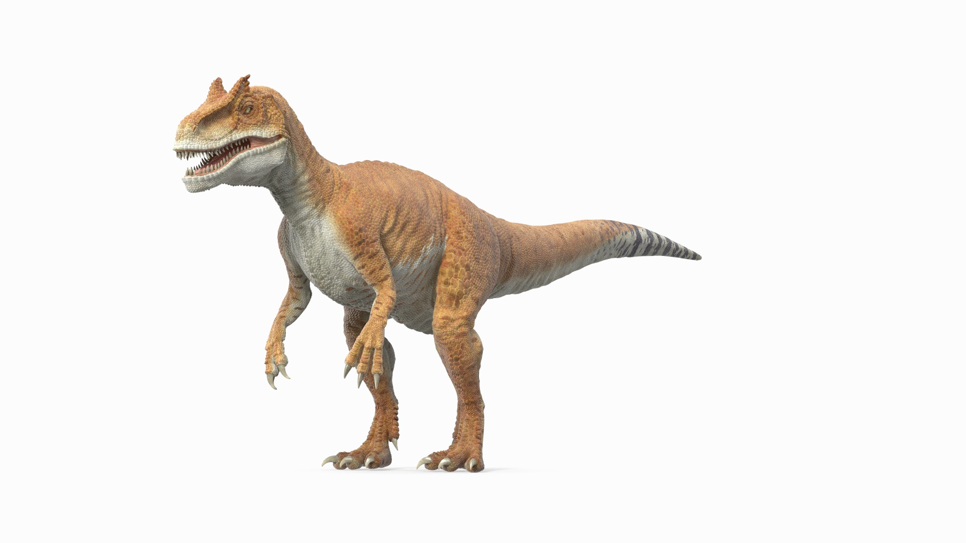 Allosaurus Yellow Coloring Rigged For Cinema 4D 3D - TurboSquid 2168194