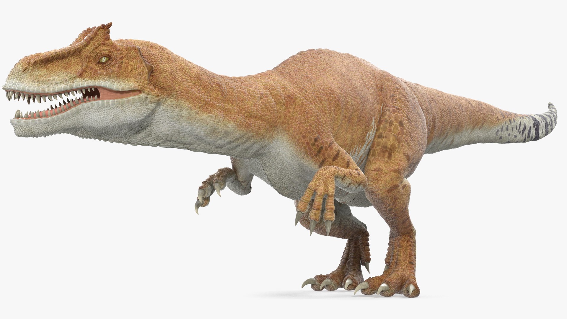Allosaurus Yellow Coloring Rigged for Cinema 4D 3D - TurboSquid 2168194