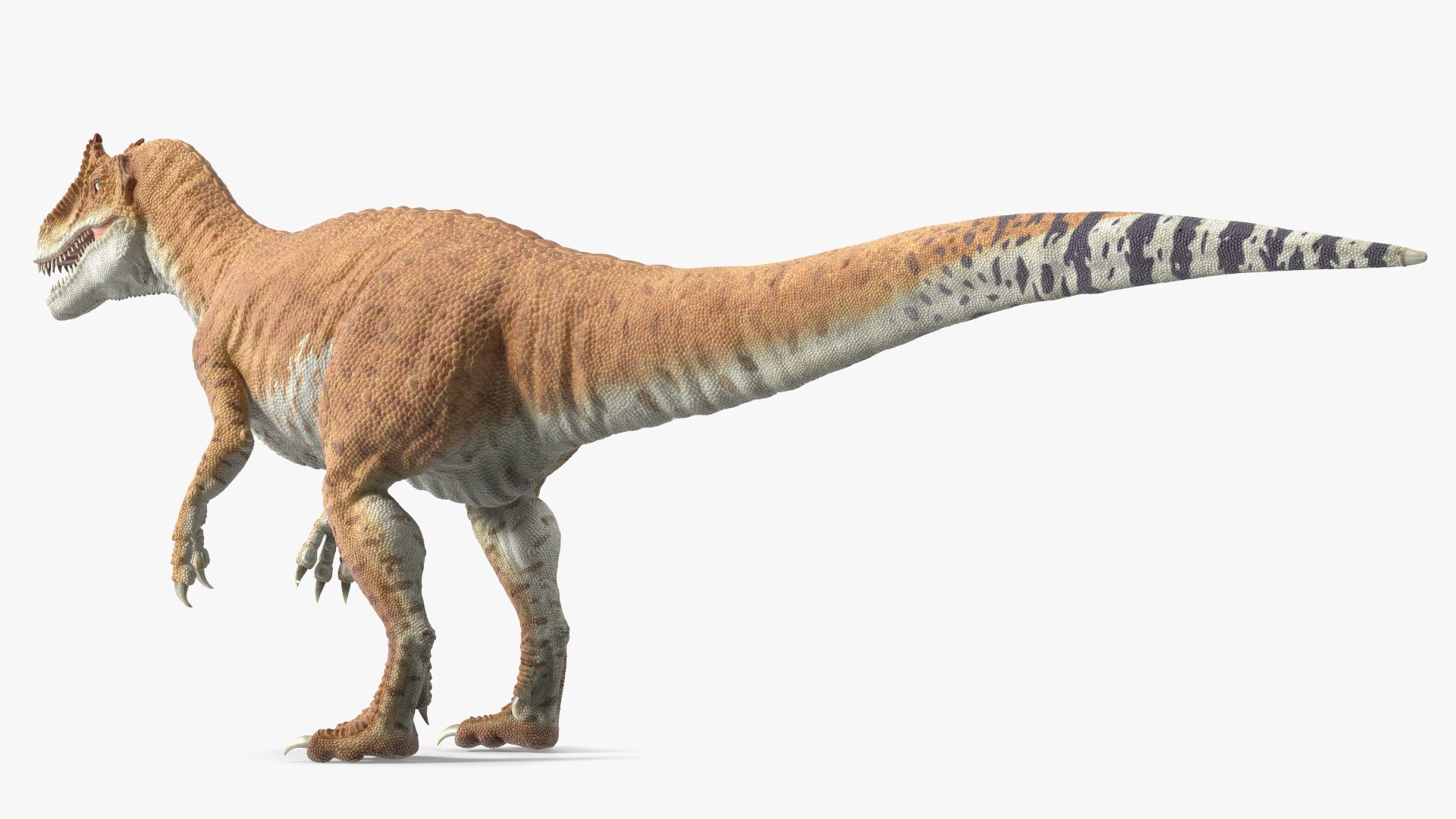 Allosaurus Yellow Coloring Rigged for Cinema 4D 3D - TurboSquid 2168194