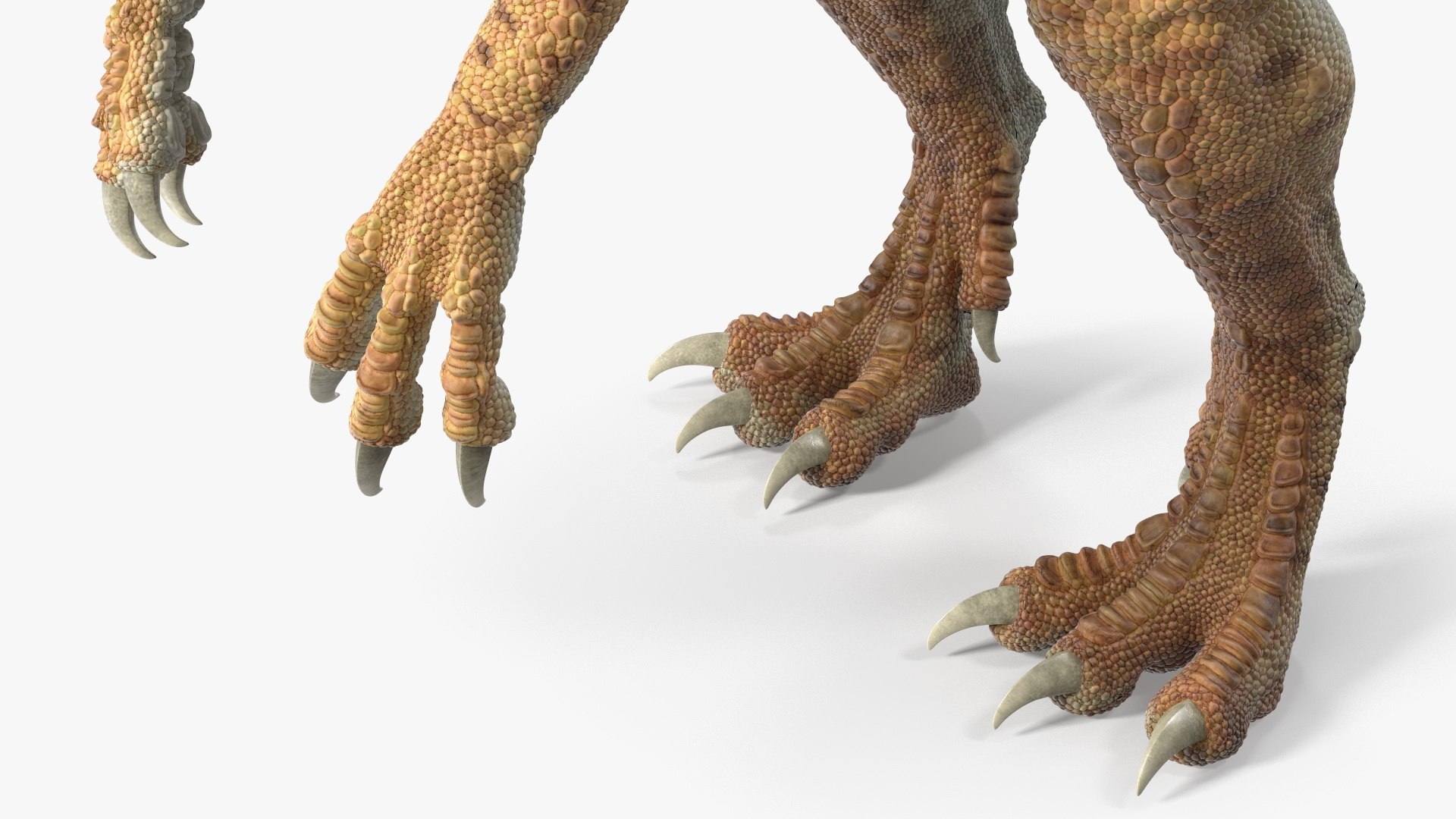 Allosaurus Yellow Coloring Rigged for Cinema 4D 3D - TurboSquid 2168194