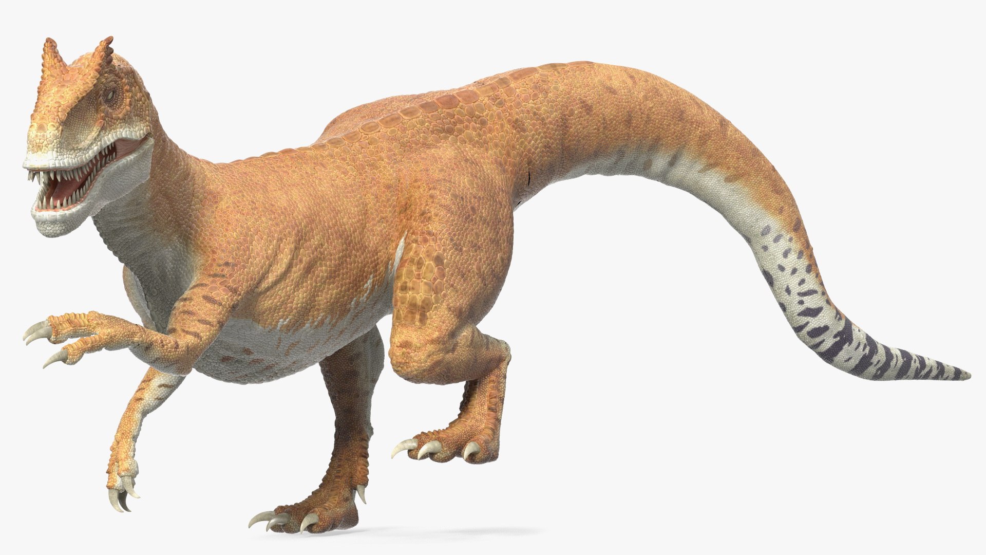 Allosaurus Yellow Coloring Rigged for Cinema 4D 3D - TurboSquid 2168194