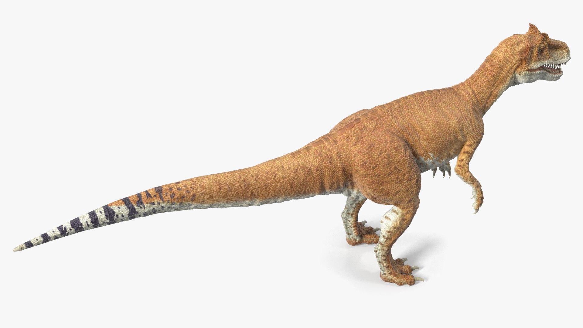 Allosaurus Yellow Coloring Rigged for Cinema 4D 3D - TurboSquid 2168194