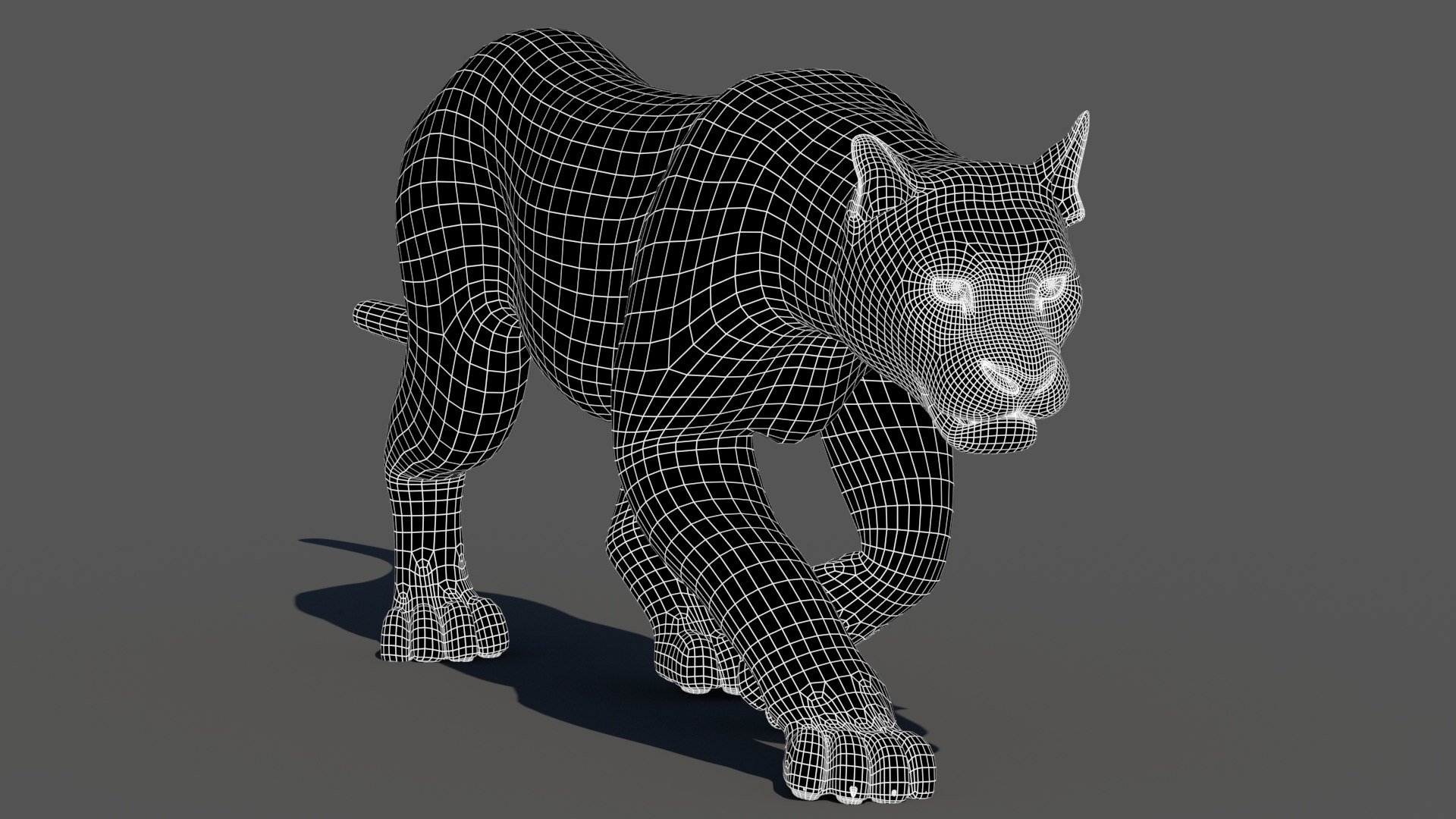 3d Model Puma Animation Cat