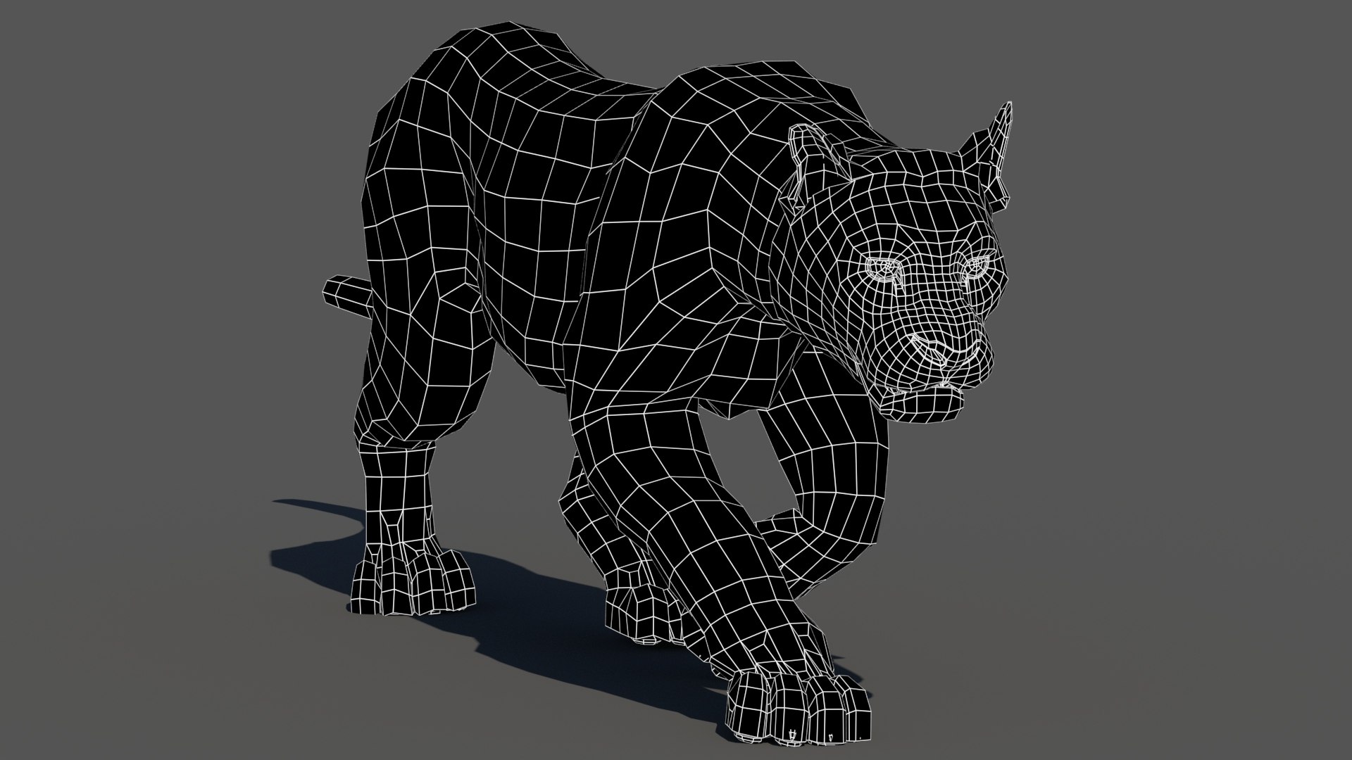 3d Model Puma Animation Cat