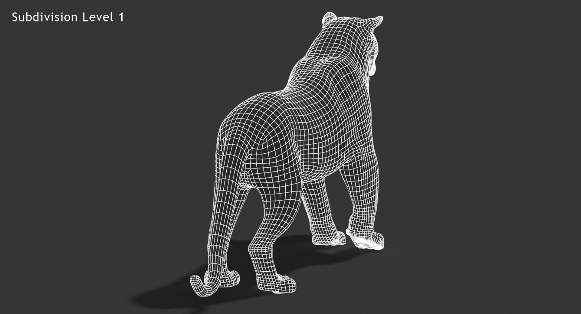 3d model puma animation cat