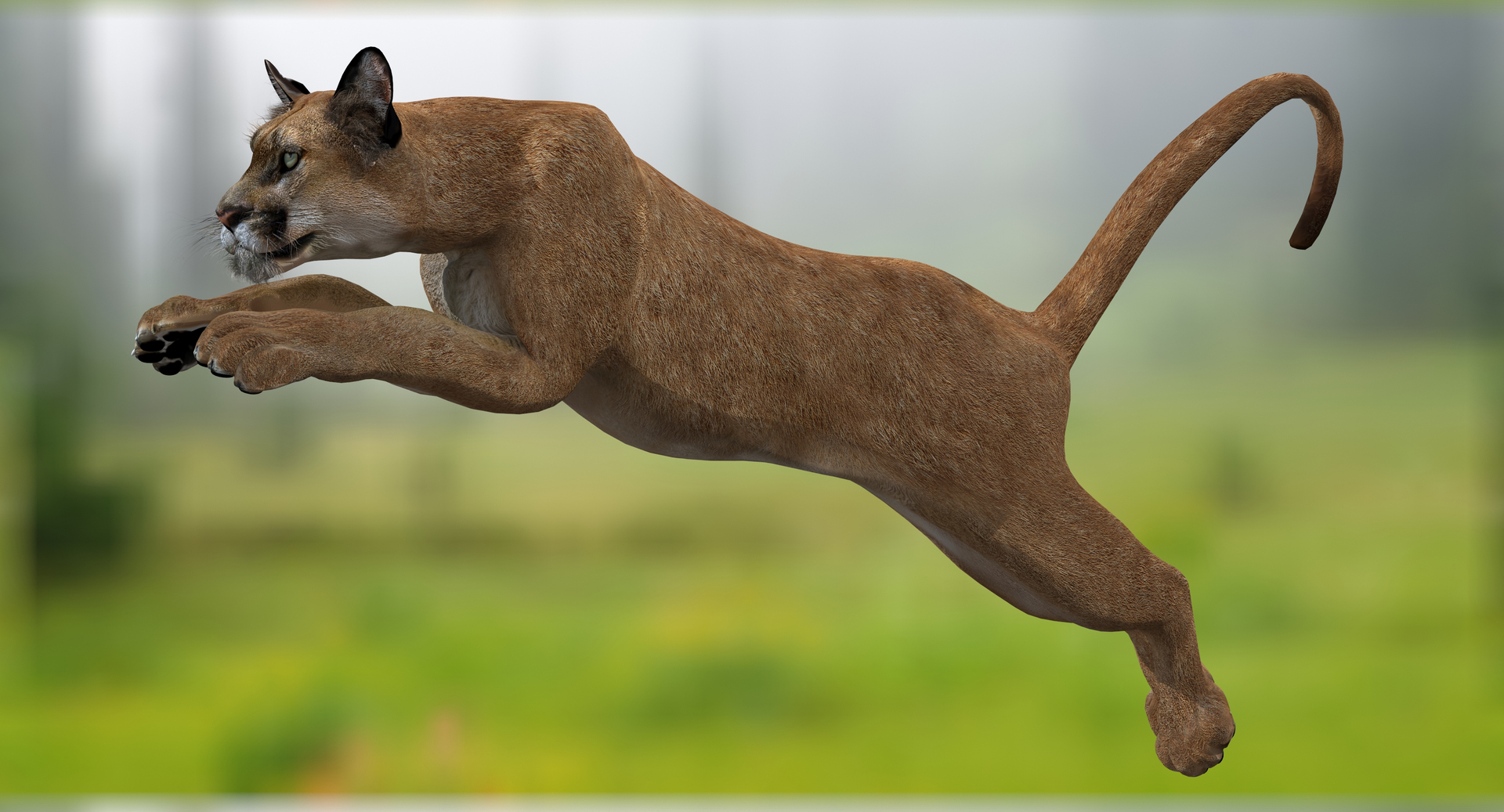 modelo 3d Puma (animación) - TurboSquid 983587