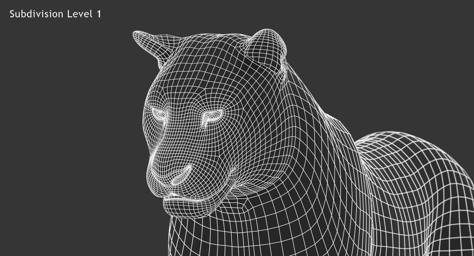 3d model puma animation cat