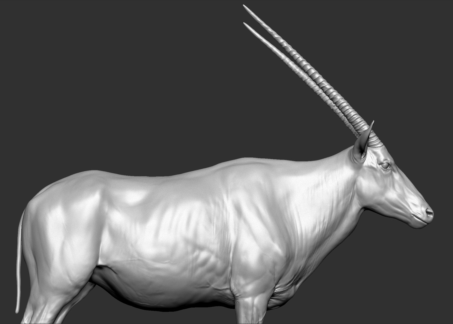 Oryx Antelope Model - TurboSquid 1442433