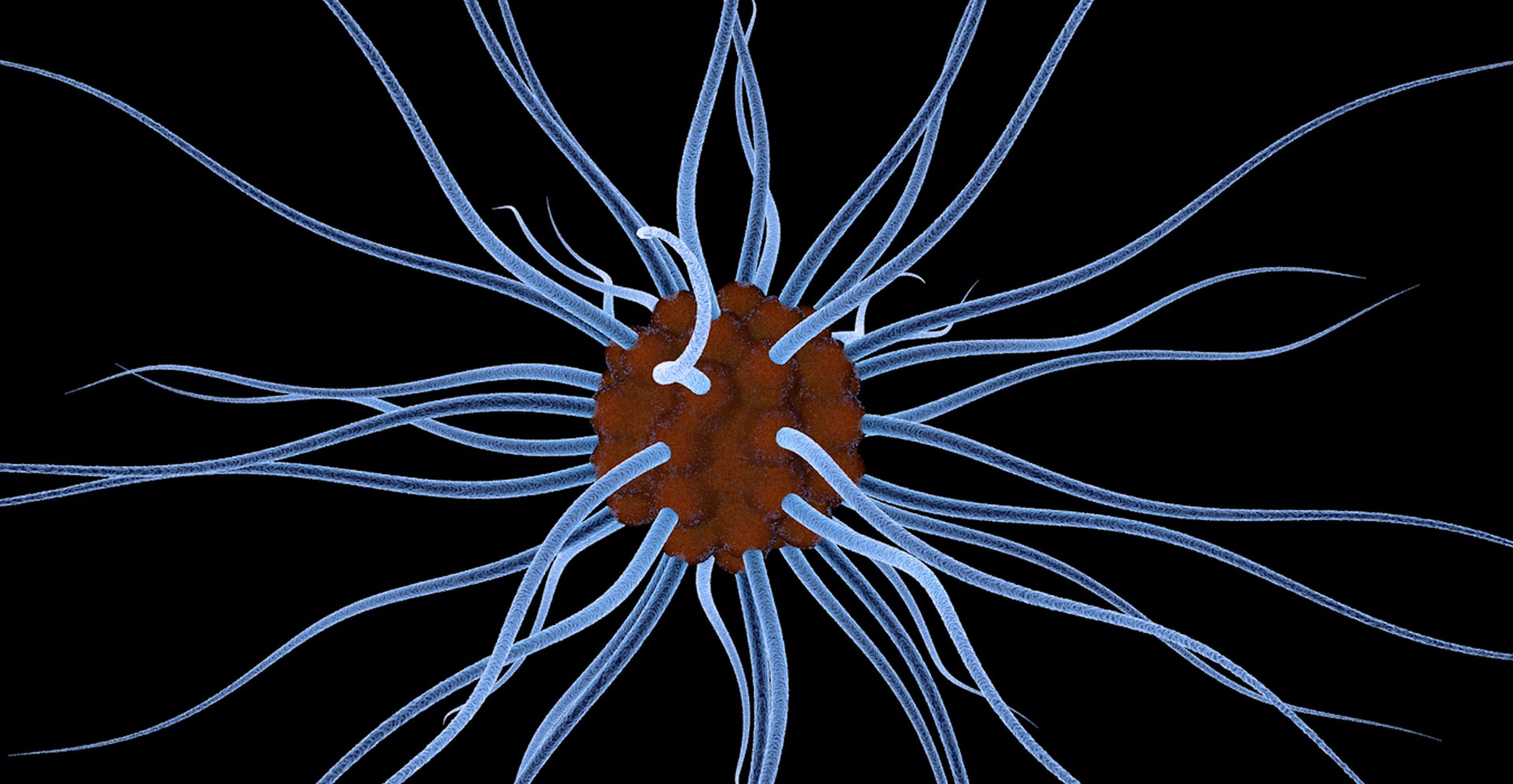 - 3D Model - TurboSquid 1682309