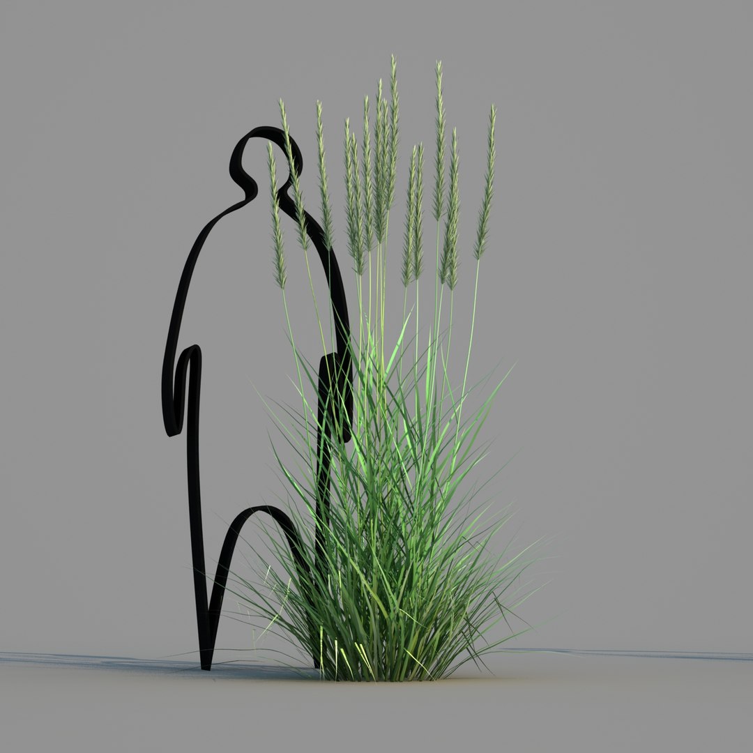 3D Great Basin Wildrye Model - TurboSquid 1658406