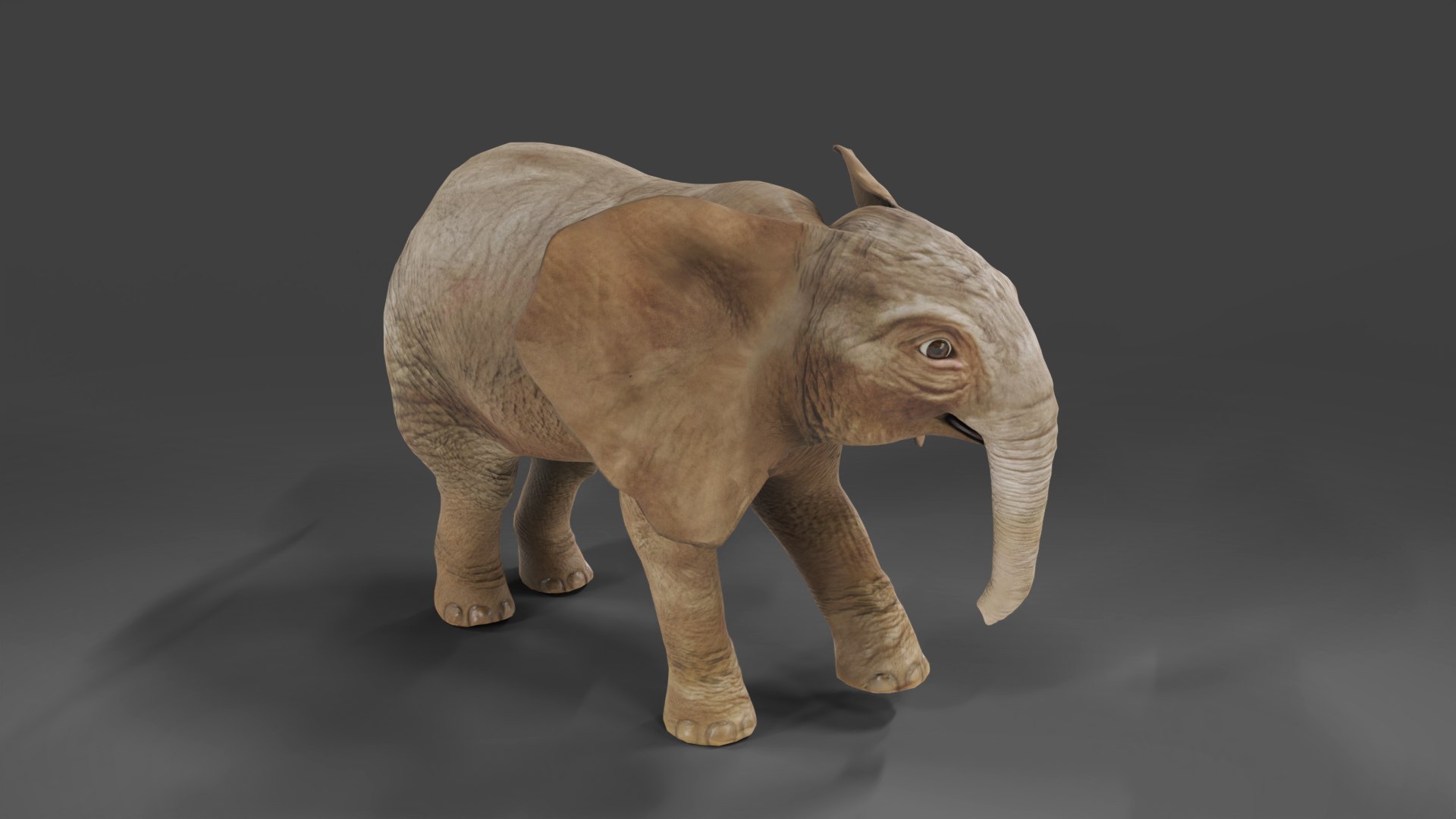 Baby Elephant Rigged and Animation Unity V02 3D model - TurboSquid 2013992