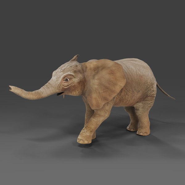 Elephant Blender Models for Download | TurboSquid