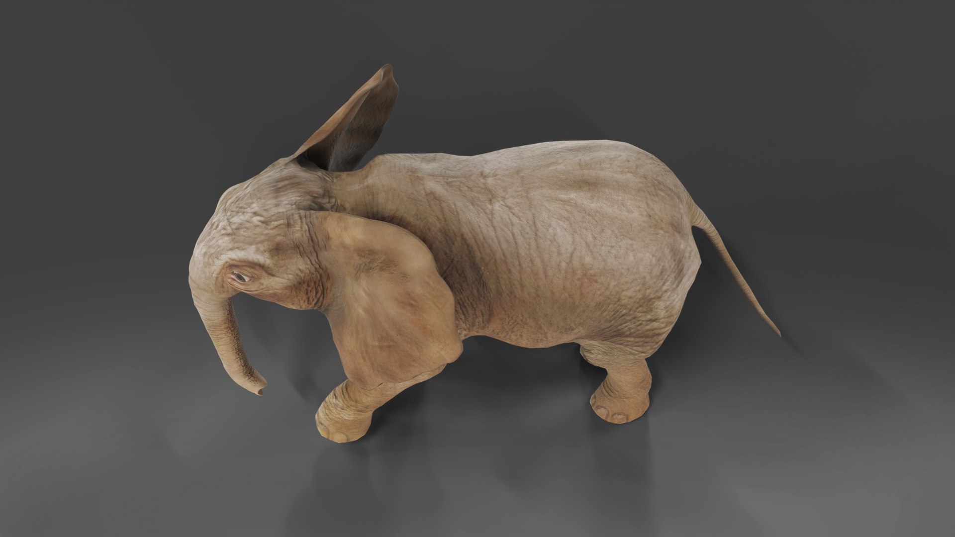 Baby Elephant Rigged and Animation Unity V02 3D model - TurboSquid 2013992