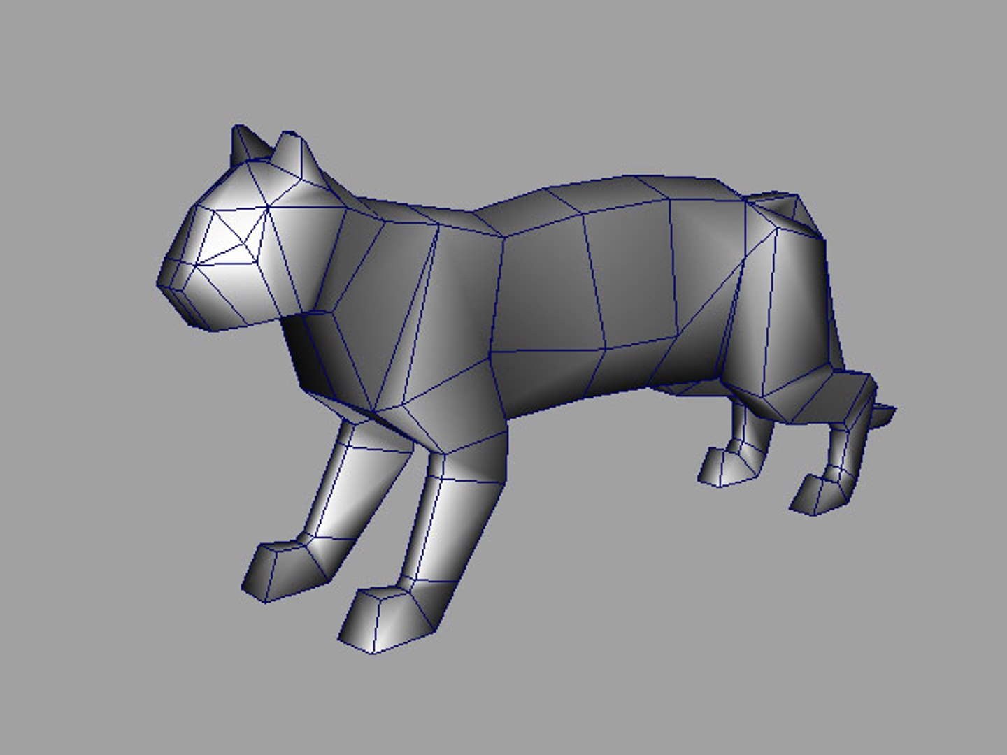 Cat Animations 3d Model