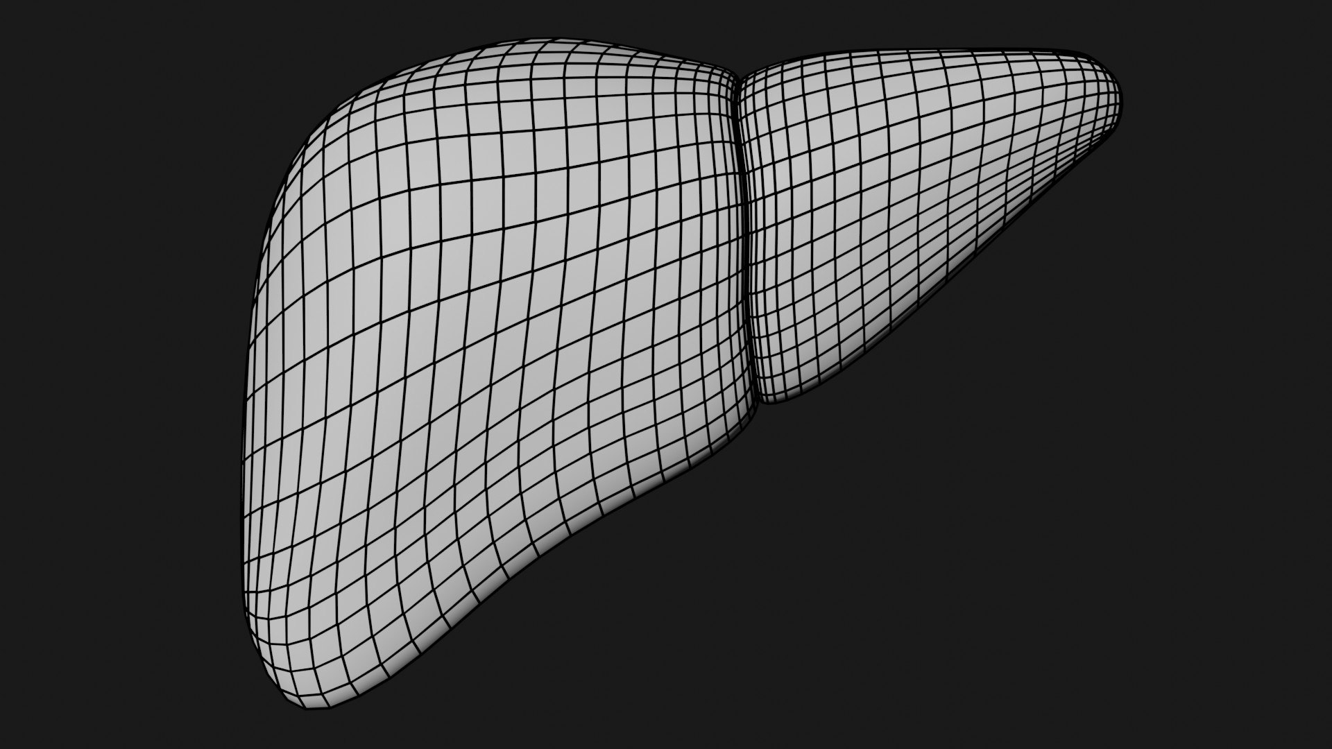 Liver 3D Model - TurboSquid 1673536