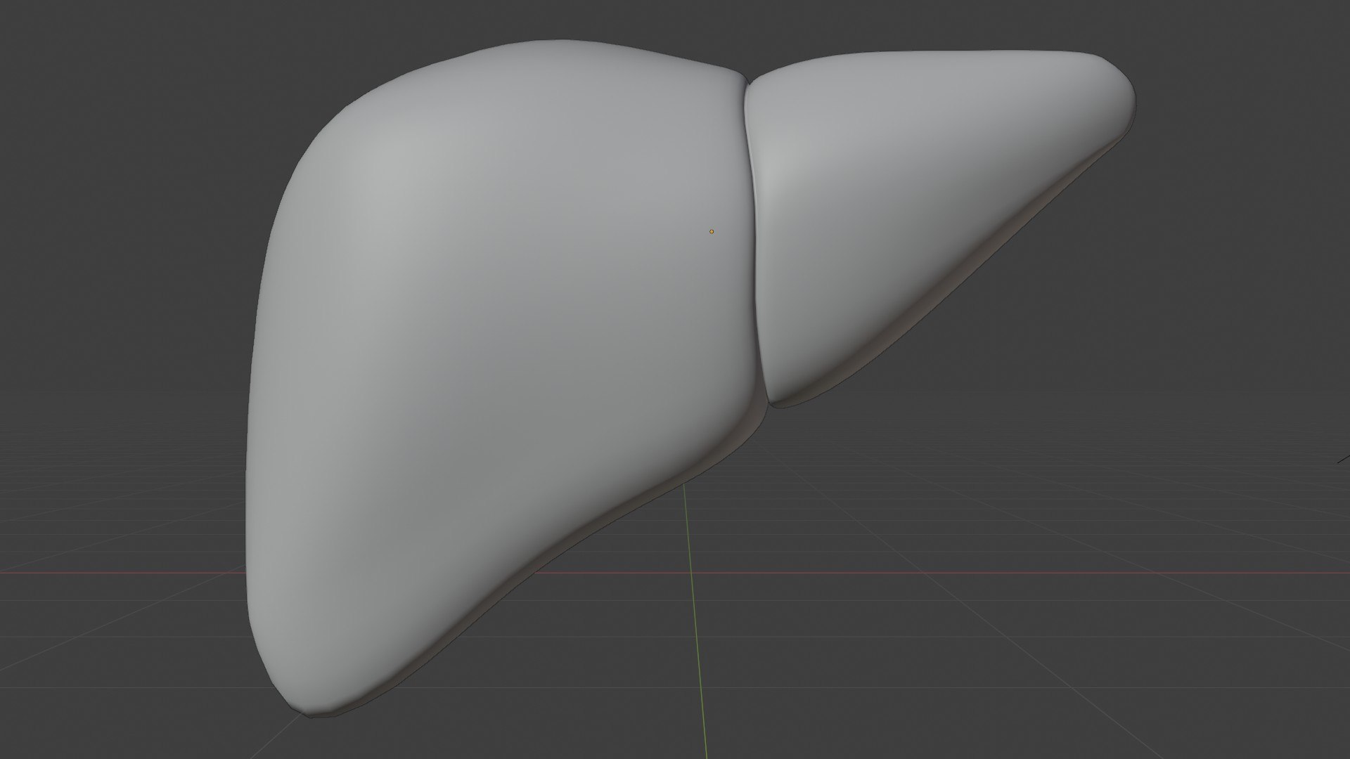 Liver 3D Model - TurboSquid 1673536
