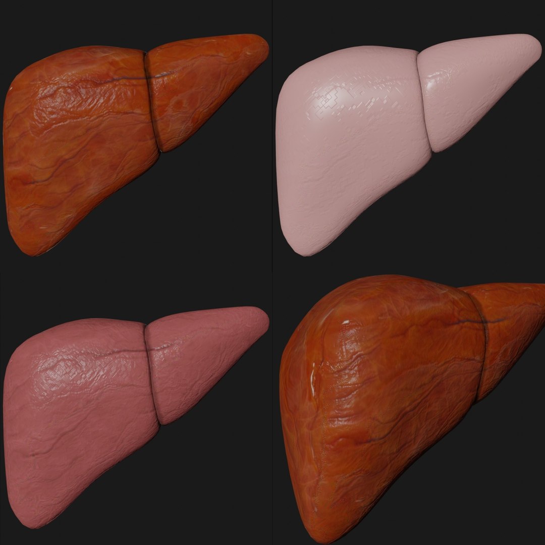 modelo 3d Liver Collection Low Poly - TurboSquid 1673536
