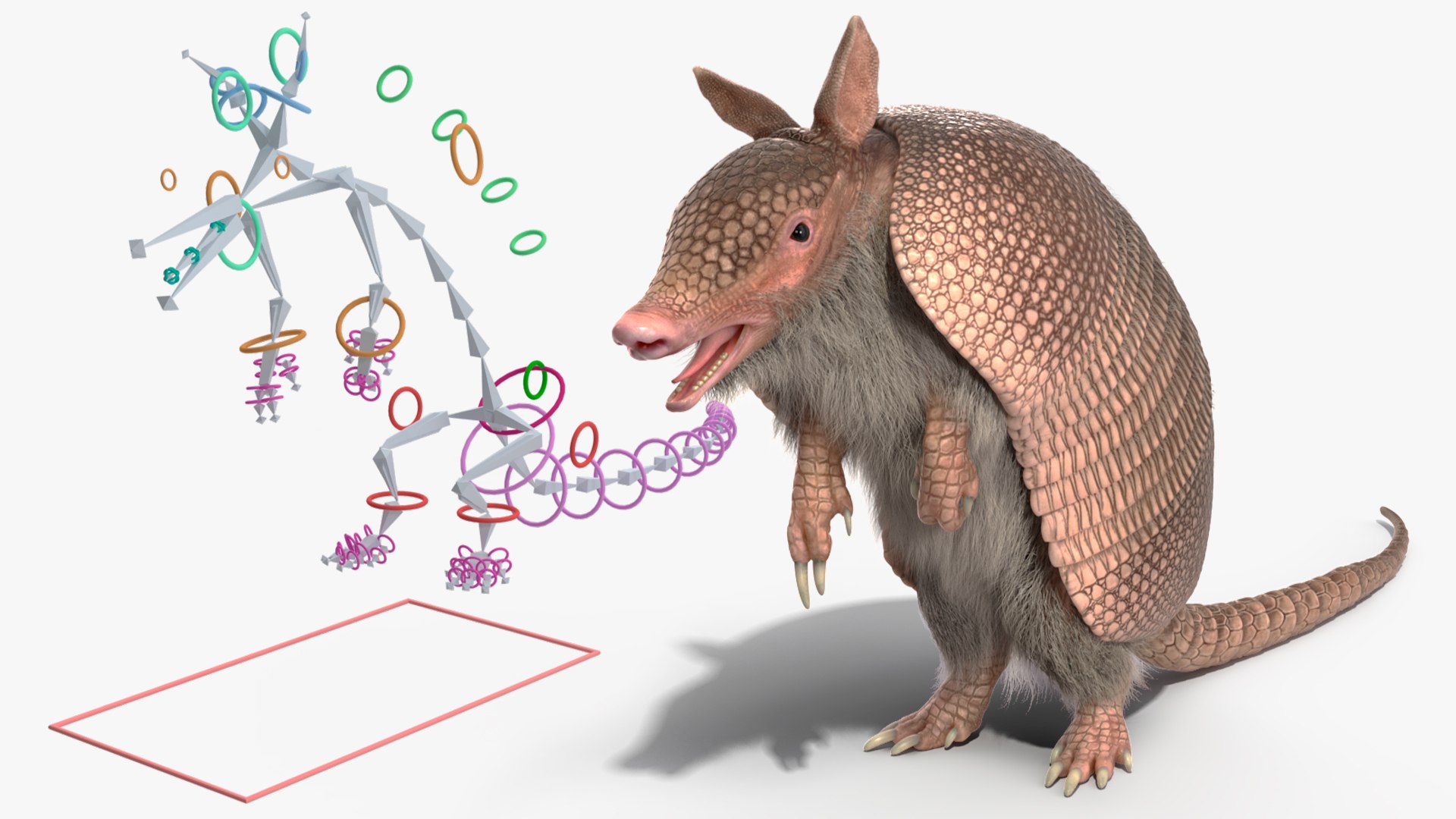 3D Armadillo Pink Fur Rigged - TurboSquid 2248584