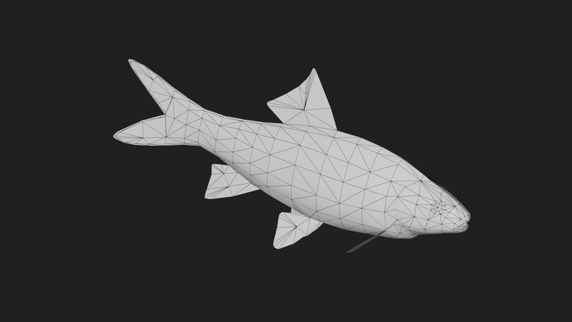3D Carp Model - TurboSquid 2125428