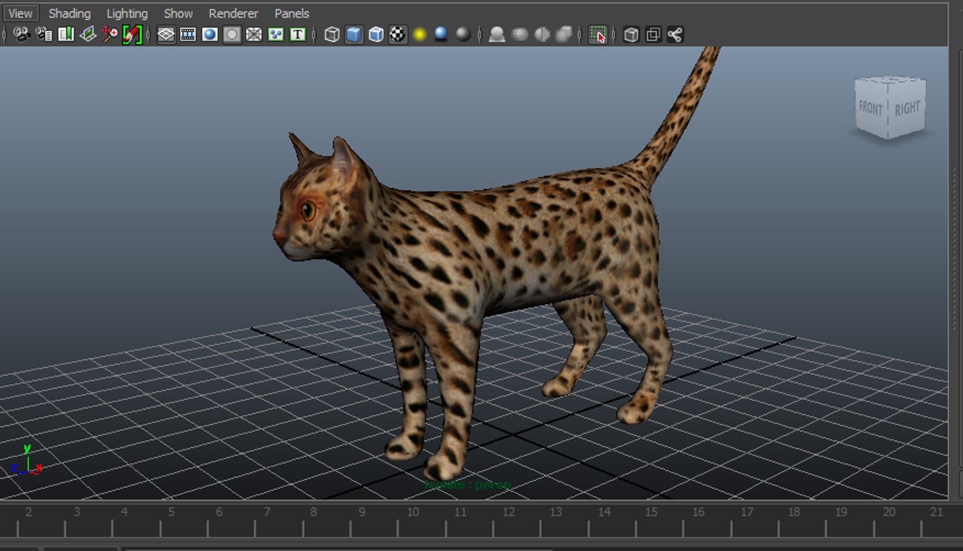 Cat animations 3D model | 1142762 | TurboSquid