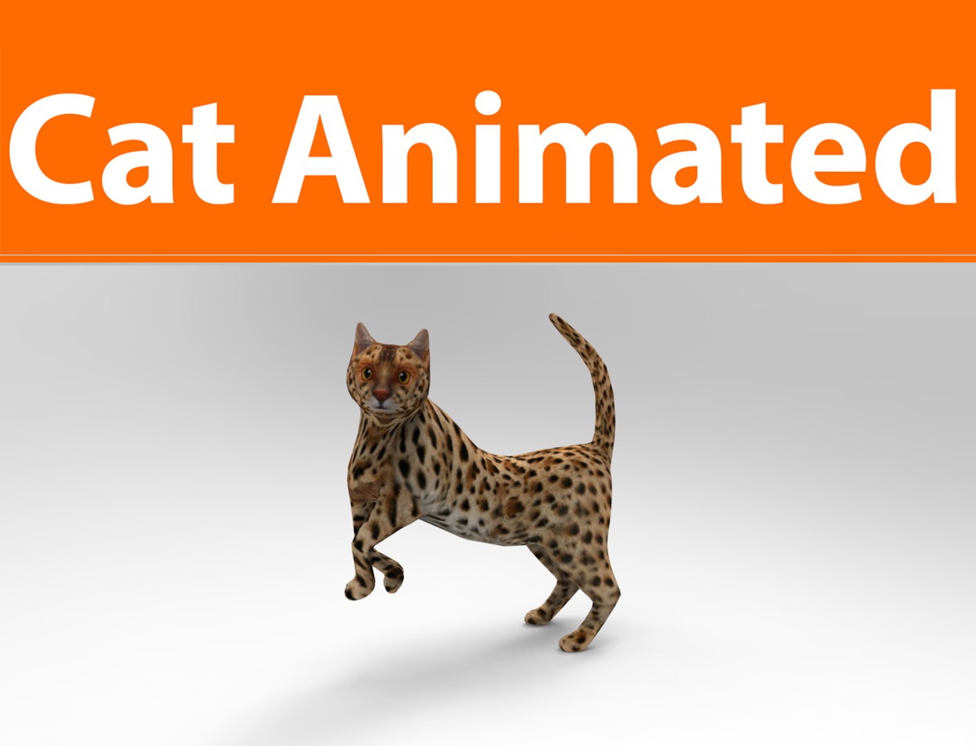 Cat animations 3D model | 1142762 | TurboSquid