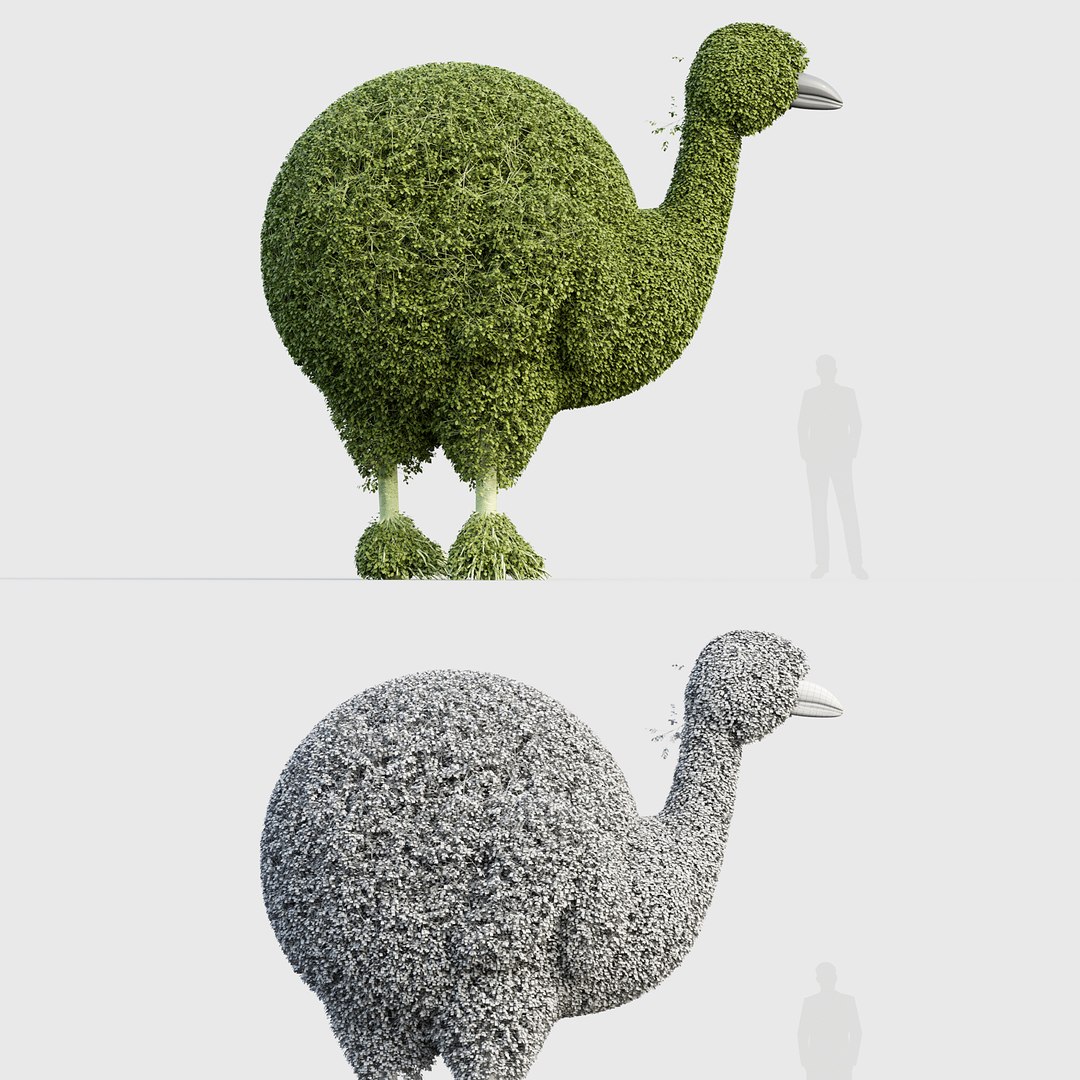 Ostrich 3D Model Model - TurboSquid 2238316
