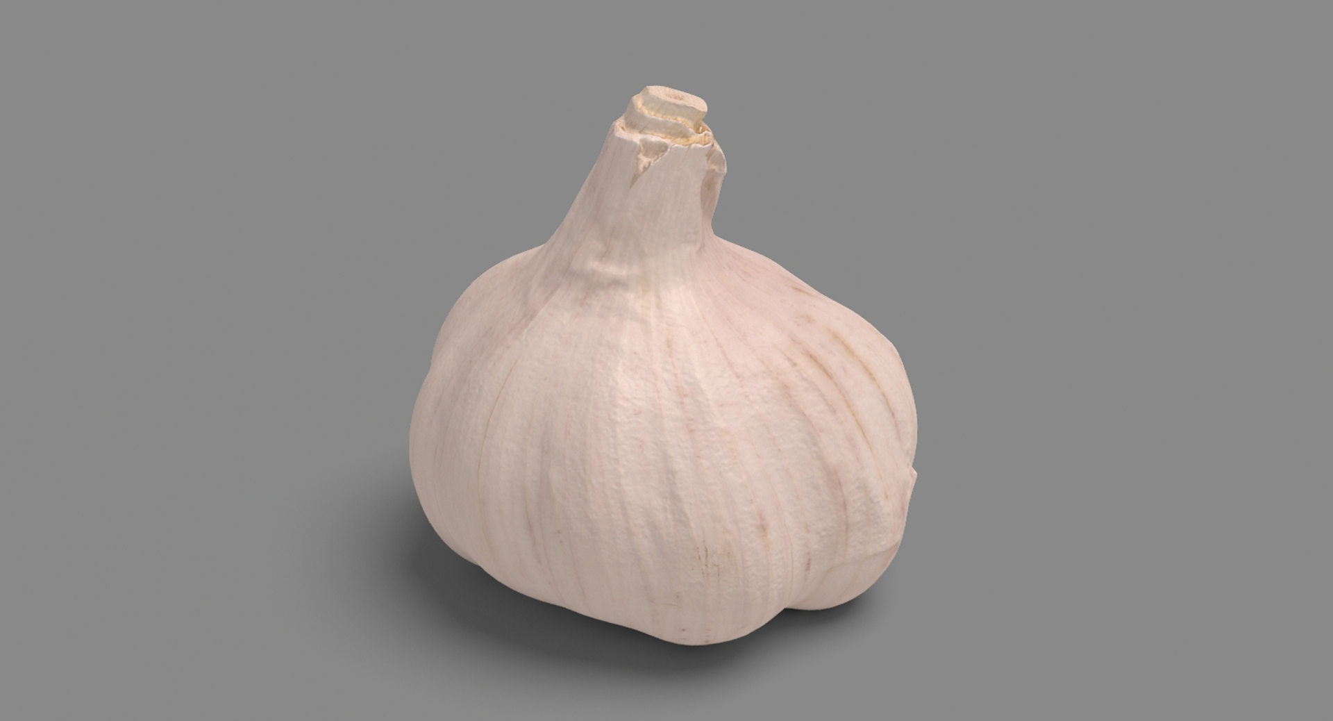 3d garlic ready unreal model