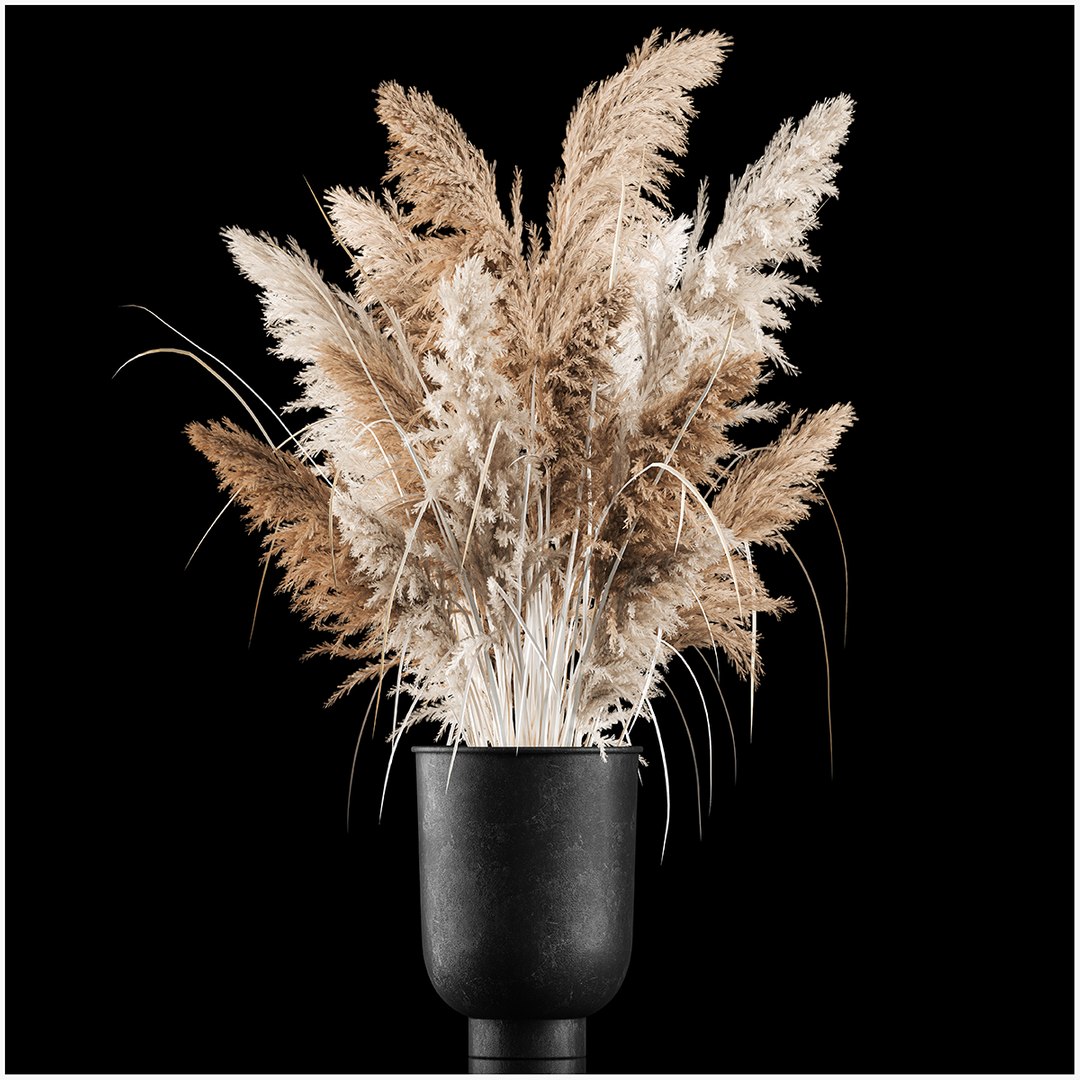 Bouquet Of Dry Reeds In A Black Metal Pot 269 model - TurboSquid 1940414