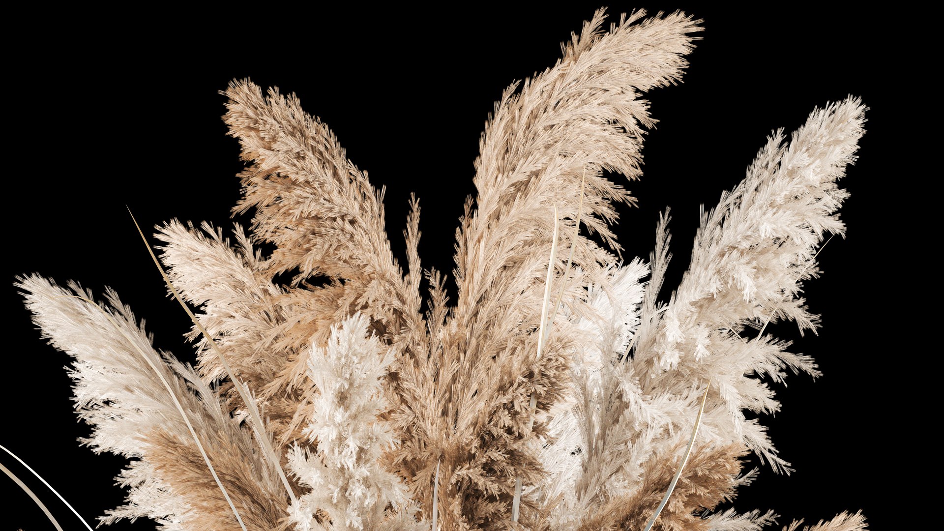 Bouquet Of Dry Reeds In A Black Metal Pot 269 Model - TurboSquid 1940414