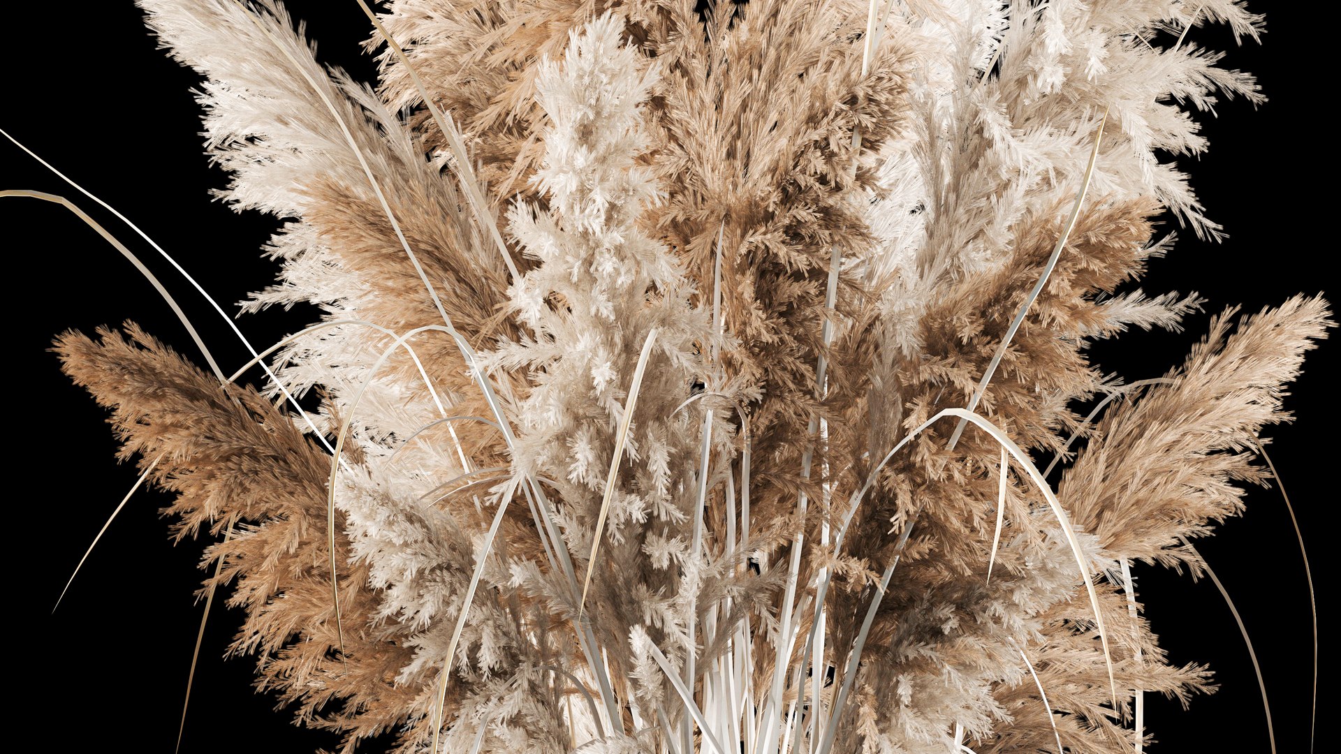 Bouquet Of Dry Reeds In A Black Metal Pot 269 Model - TurboSquid 1940414