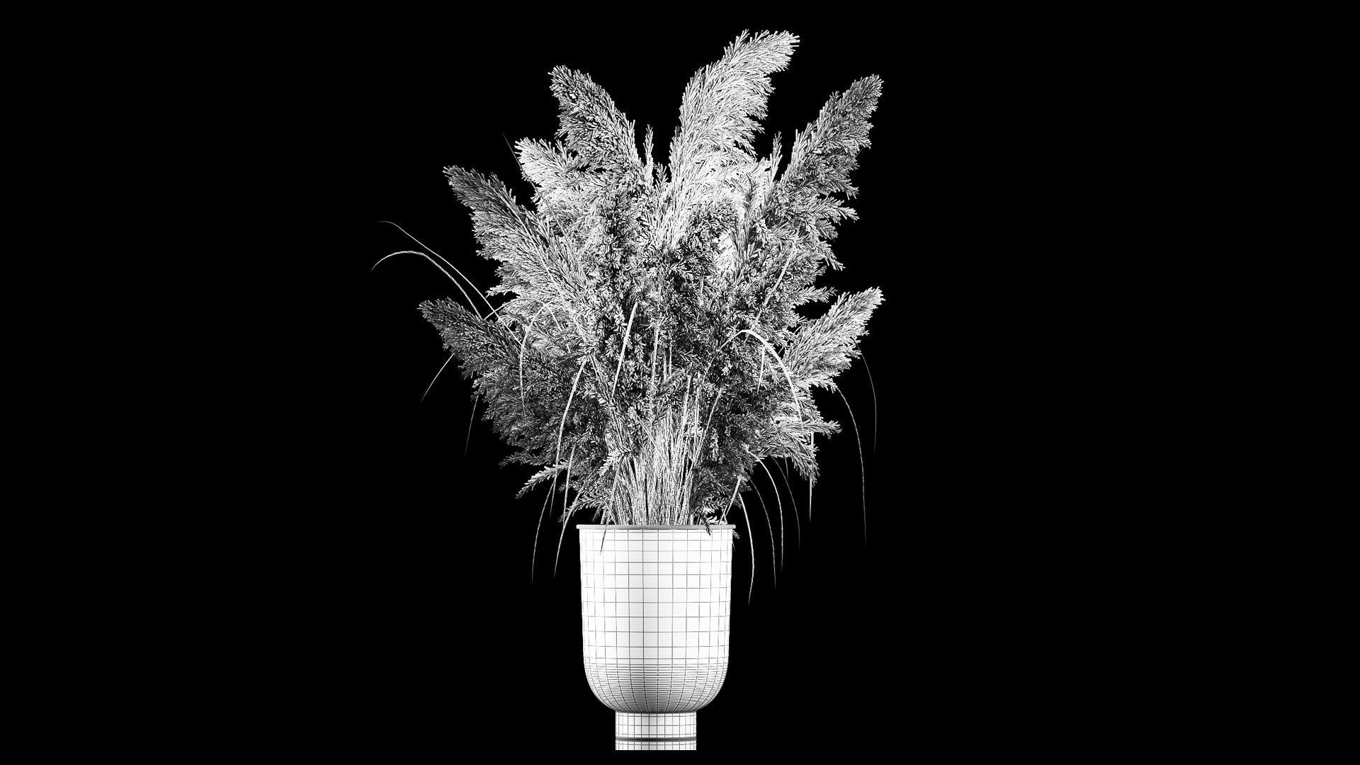 Bouquet Of Dry Reeds In A Black Metal Pot 269 Model - TurboSquid 1940414