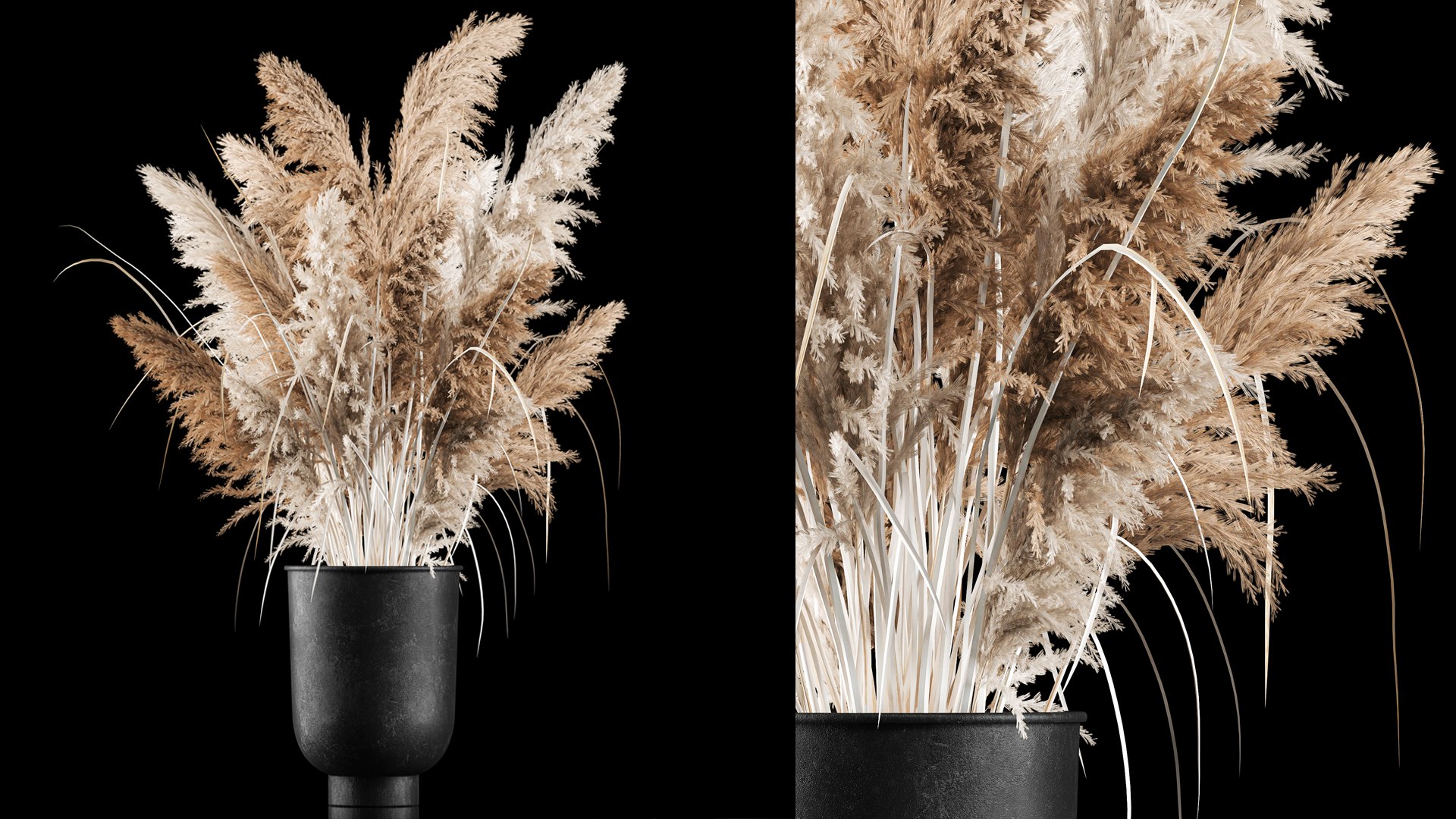 Bouquet Of Dry Reeds In A Black Metal Pot 269 Model - TurboSquid 1940414