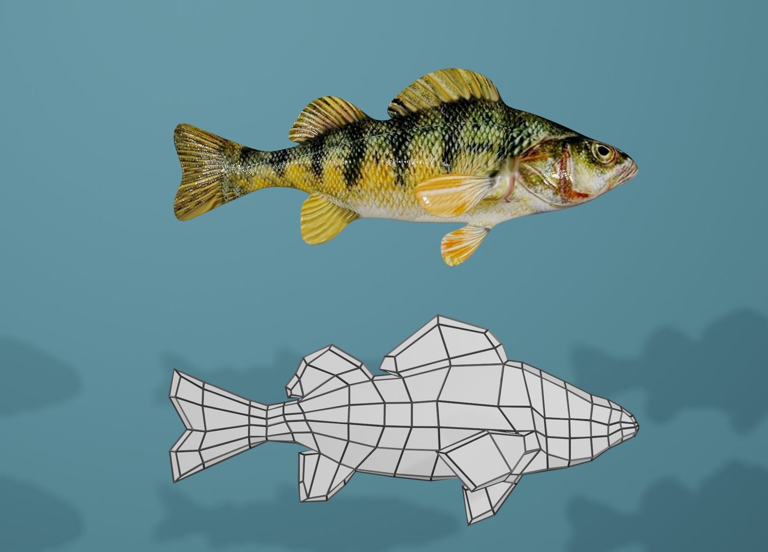 Fish Swimming Animation Bass 3D Model - TurboSquid 1664718