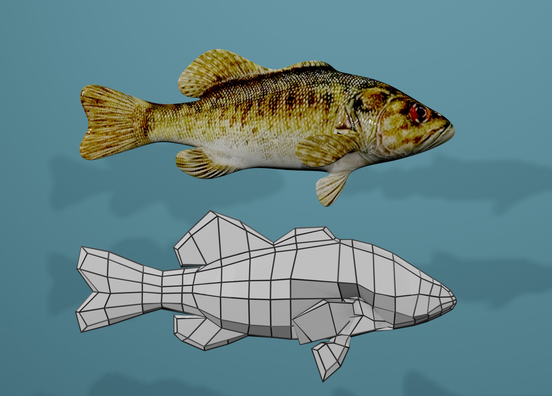 Fish swimming animation bass 3D model - TurboSquid 1664718
