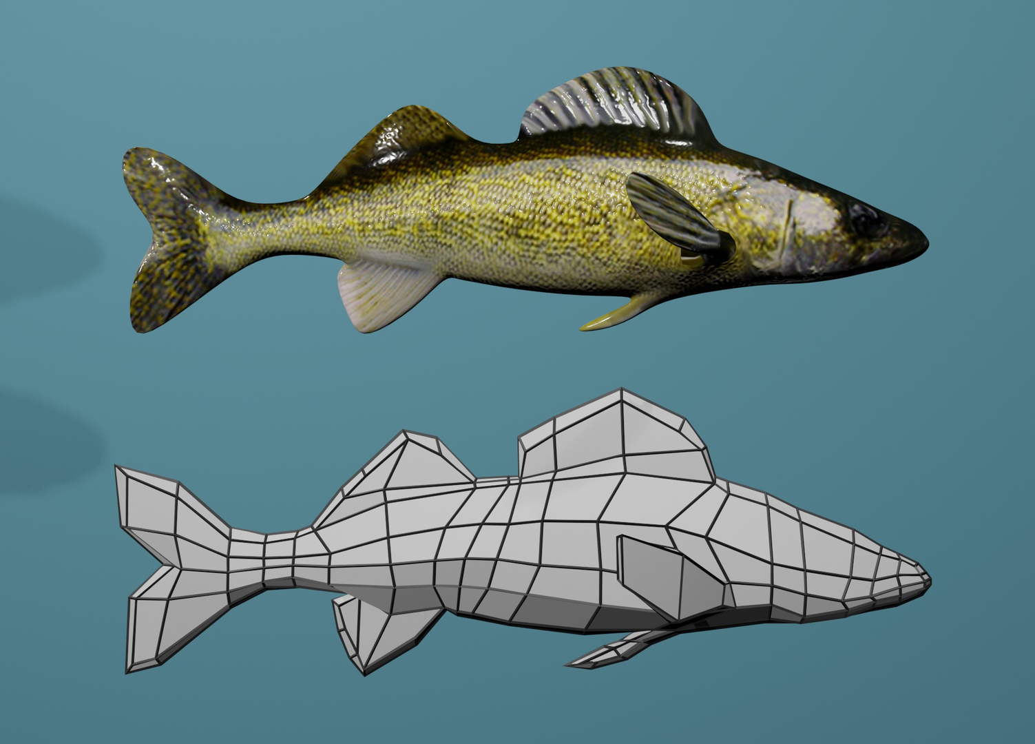 Fish swimming animation bass 3D model - TurboSquid 1664718