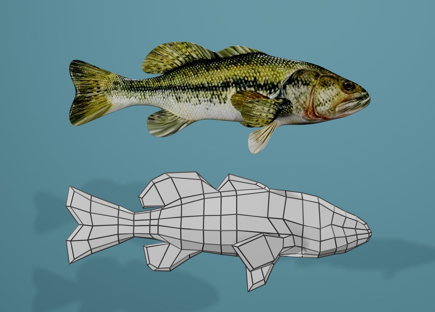 Fish Swimming Animation Bass 3D Model - TurboSquid 1664718