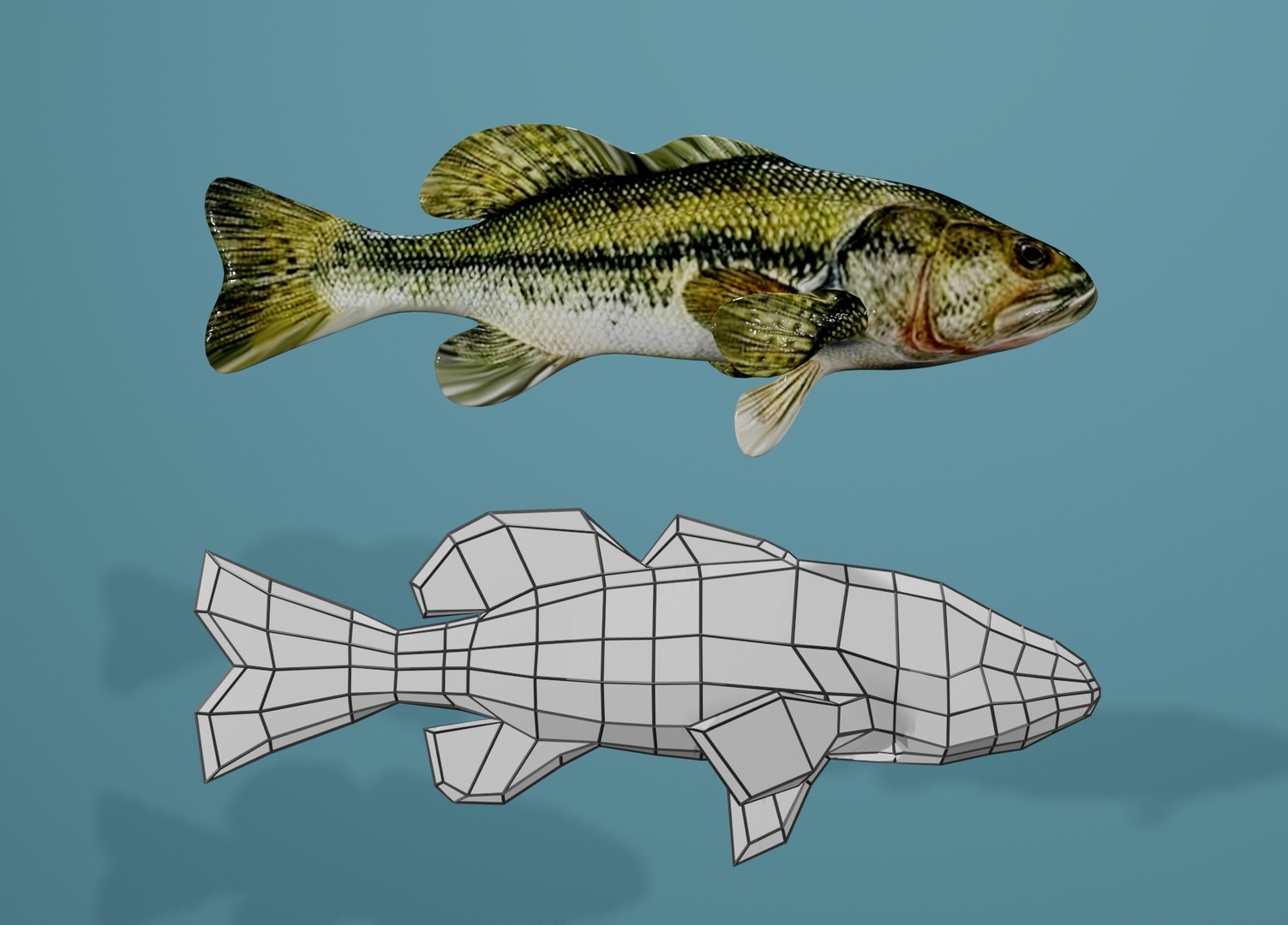 Fish swimming animation bass 3D model - TurboSquid 1664718