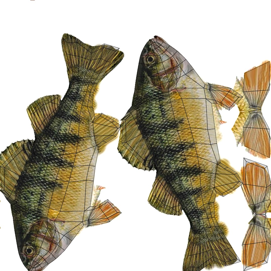 Fish swimming animation bass 3D model - TurboSquid 1664718