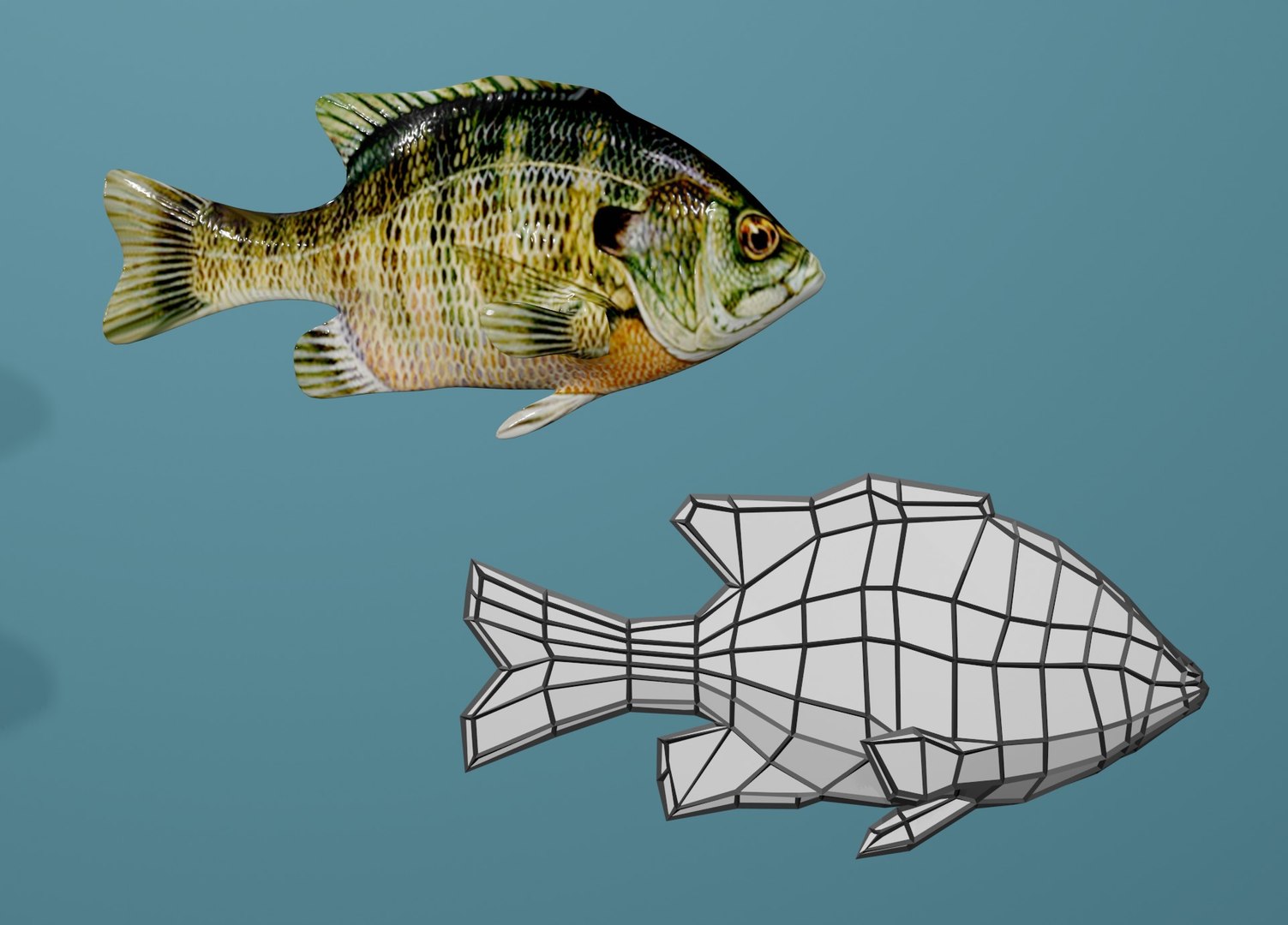 Fish Swimming Animation Bass 3D Model - TurboSquid 1664718