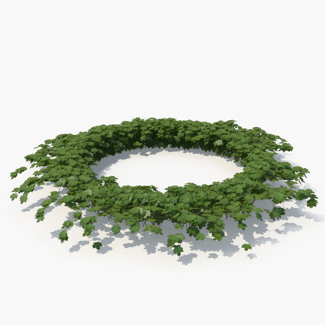 3D Ivy Model - TurboSquid 1151656