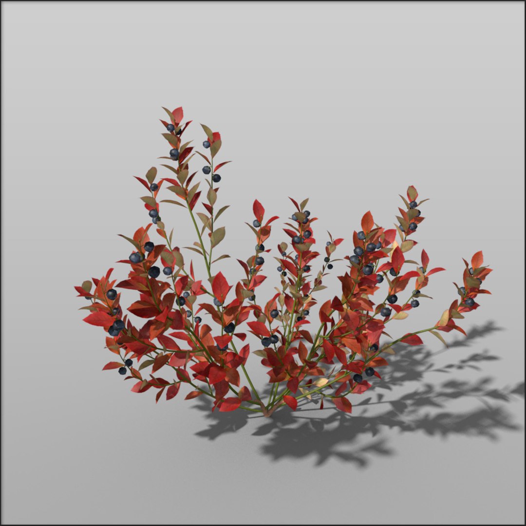 3d Shrub Bushes 2 Model