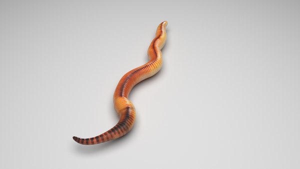 3D Earthworm model - TurboSquid 1841729